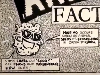 Stephen Hillenburg Facts for Kids