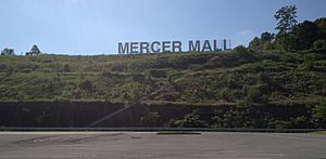 Mercer Mall Facts for Kids
