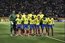Ecuador national football team Facts for Kids