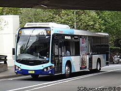 Forest Coach Lines Facts for Kids