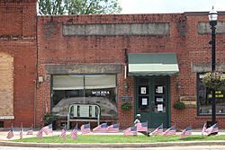 Molena, Georgia Facts for Kids