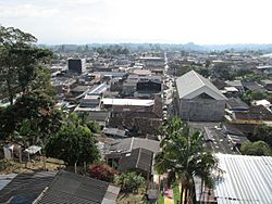 Circasia, Quindío Facts for Kids