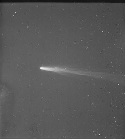 Halley's Comet Facts for Kids