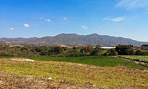 Ábrego Facts for Kids