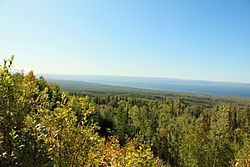 Municipal District of Lesser Slave River No. 124 Facts for Kids