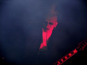 Tim Skold Facts for Kids