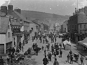 Newtown, Powys Facts for Kids