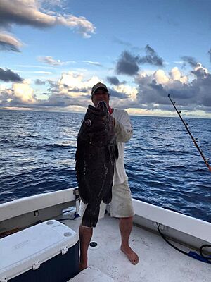 Hawaiian grouper Facts for Kids