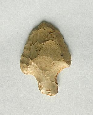 Prehistoric Egypt Facts for Kids