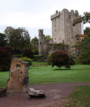 Blarney Castle Facts for Kids