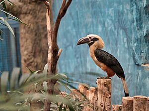 Chester Zoo Facts for Kids