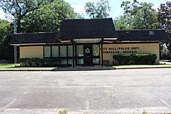 Damascus, Georgia Facts for Kids