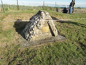 Dubris Facts for Kids