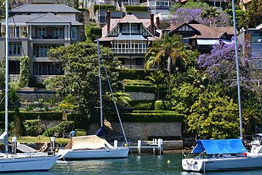 Mosman, New South Wales Facts for Kids