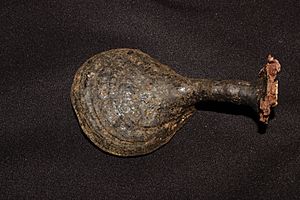 Ganoderma orbiforme for Kids