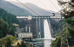 Detroit Dam Facts for Kids