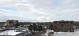 Wayne, Michigan Facts for Kids