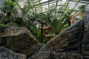 Kew Gardens Facts for Kids