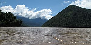 Tambo River (Peru) Facts for Kids