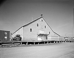 Lomen Company Facts for Kids