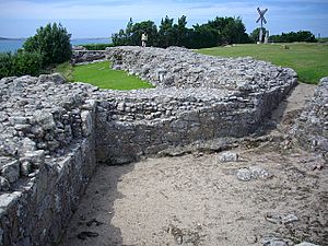 Harry's Walls Facts for Kids