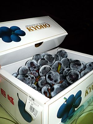 Kyoho (grape) Facts for Kids
