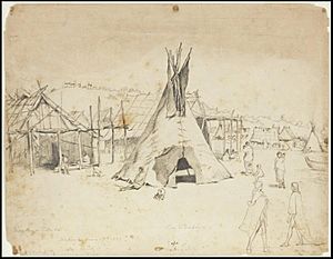 Kaposia Facts for Kids