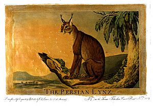 Charles Catton the younger Facts for Kids