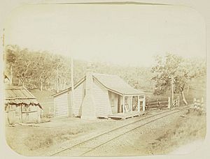 Cranley, Queensland Facts for Kids