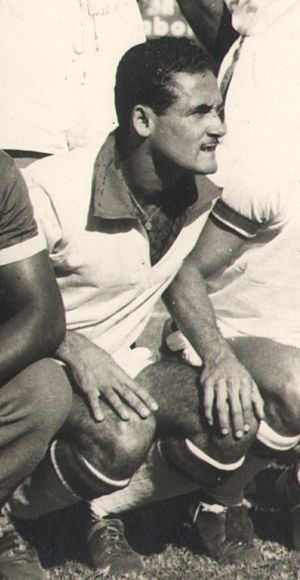 Maneca Facts for Kids