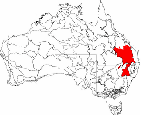 Brigalow Belt Facts for Kids