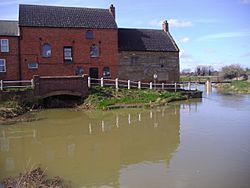 River Nene Facts for Kids