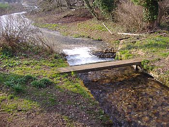 River Babingley Facts for Kids