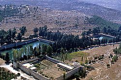 Solomon's Pools Facts for Kids