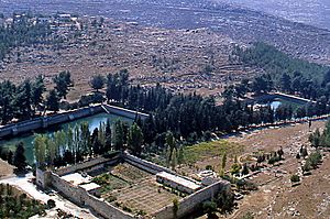 Solomon's Pools Facts for Kids