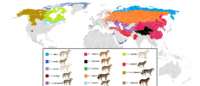 Wolf Facts for Kids
