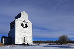 Kinuso Facts for Kids