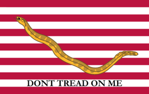 First Navy Jack Facts for Kids