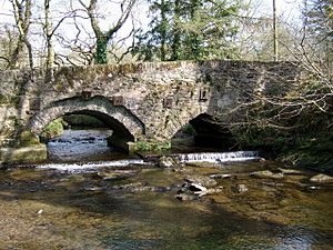 River Syfynwy Facts for Kids