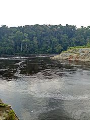 Campo River Facts for Kids