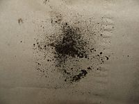 Tin(II) oxide Facts for Kids