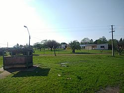 Cainsa Facts for Kids