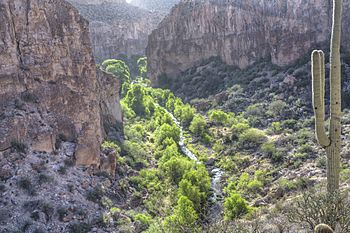 Aravaipa Canyon Wilderness Facts for Kids