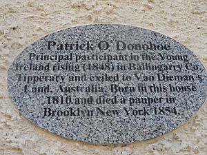 Patrick O'Donoghue (Young Irelander) Facts for Kids