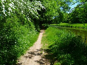 Orange Way Facts for Kids