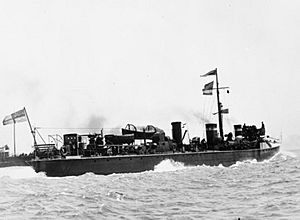 HMS Dasher (1894) Facts for Kids
