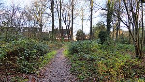 Temple Copse Facts for Kids