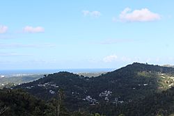 Jaguas, Gurabo, Puerto Rico Facts for Kids