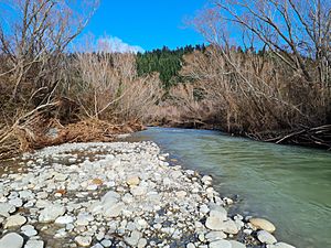 Selwyn River Facts for Kids