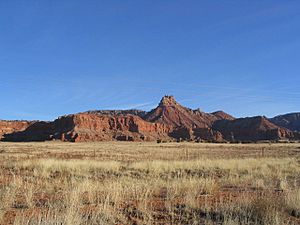 Cane Beds, Arizona Facts for Kids